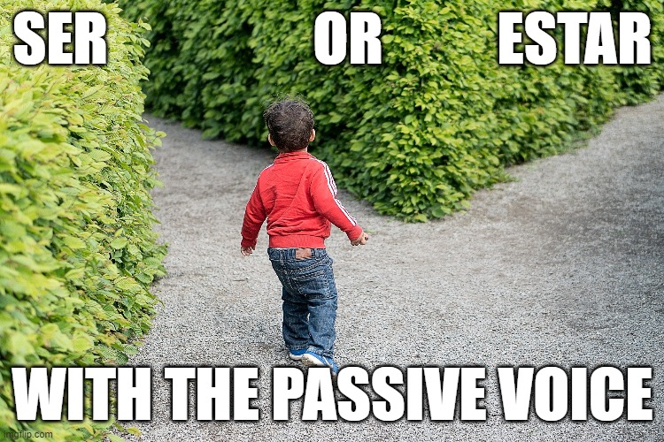 Ser Estar Memes