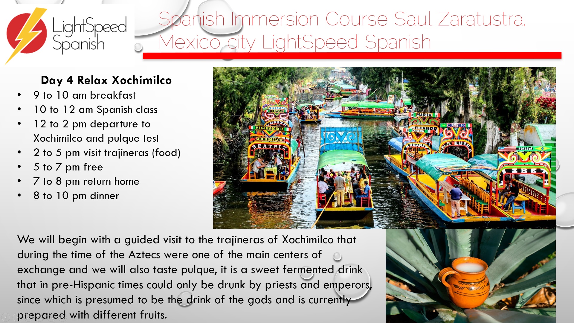 Spanish Total Immersion in the City of Mexico with Saúl - Lightspeed ...