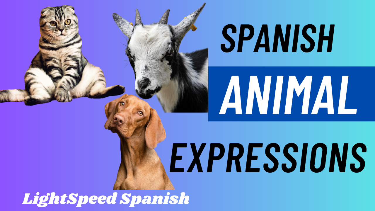 72 Adv Intermediate Spanish Animal Expressions - Lightspeed Spanish